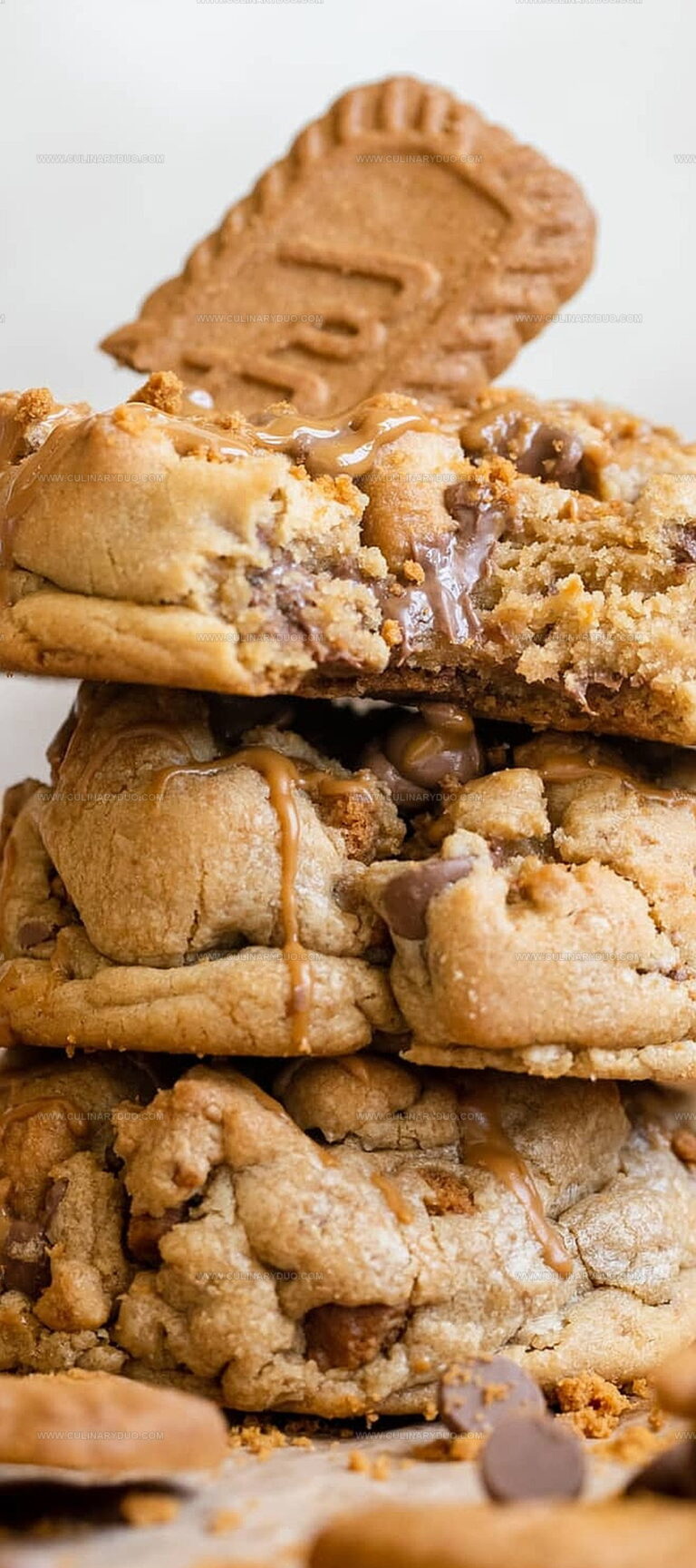 Irresistible Cookie Butter Cookies Recipe - Sweet Bliss in Every Bite ...