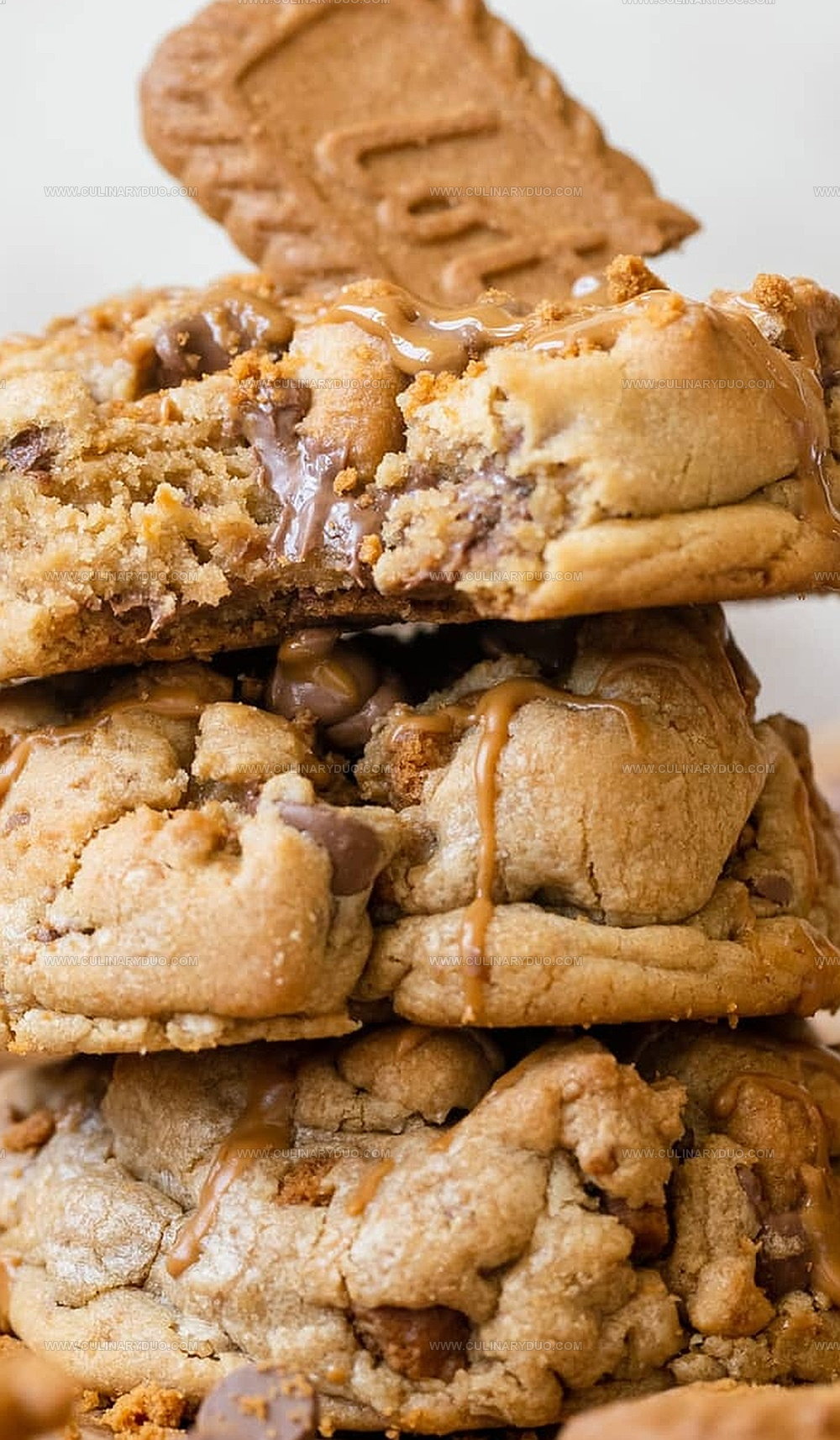 Irresistible Cookie Butter Cookies Recipe - Sweet Bliss in Every Bite ...