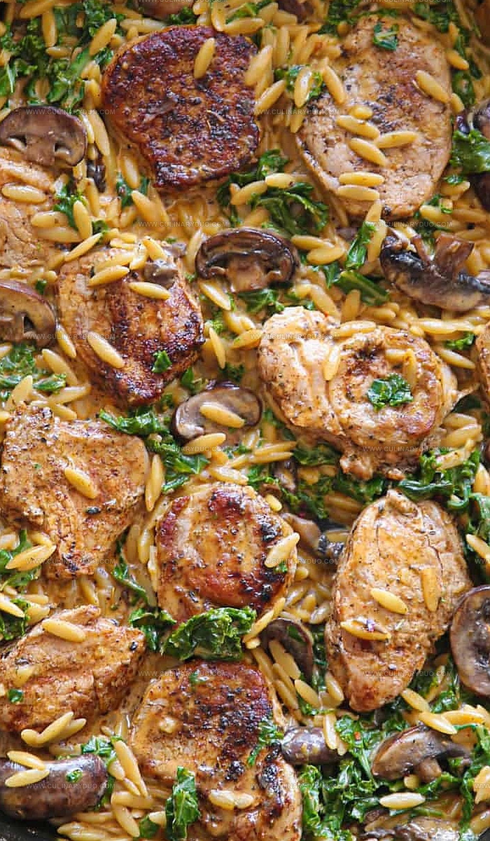 Quick & Zesty Pork Tenderloin Medallions with Orzo Recipe - Culinary Duo