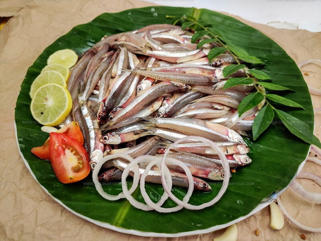 What Do Anchovies Taste Like? A Bite into the Briny Deep - Culinary Duo